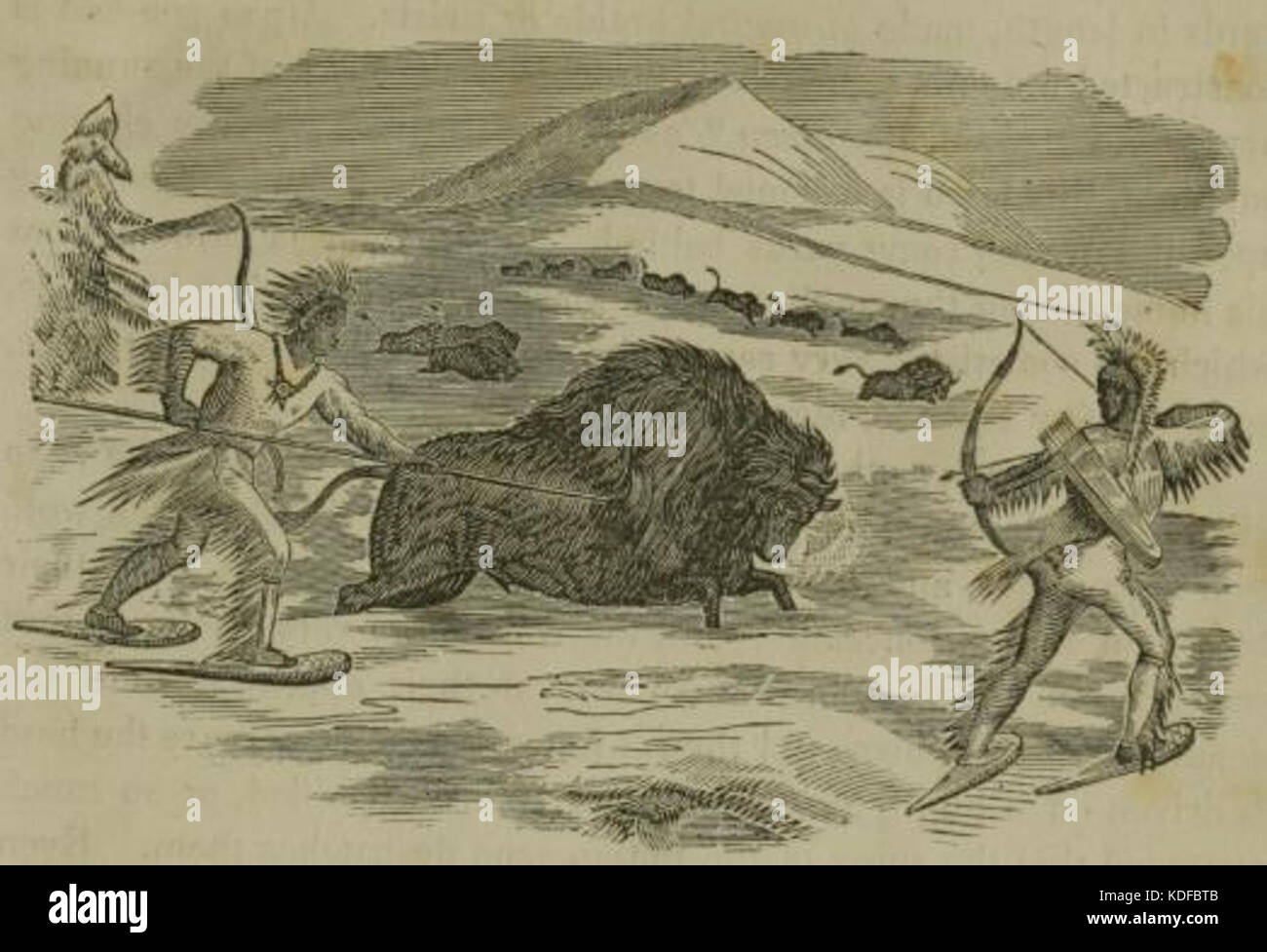 A depiction of Native Americans hunting buffalo during winter. The ...