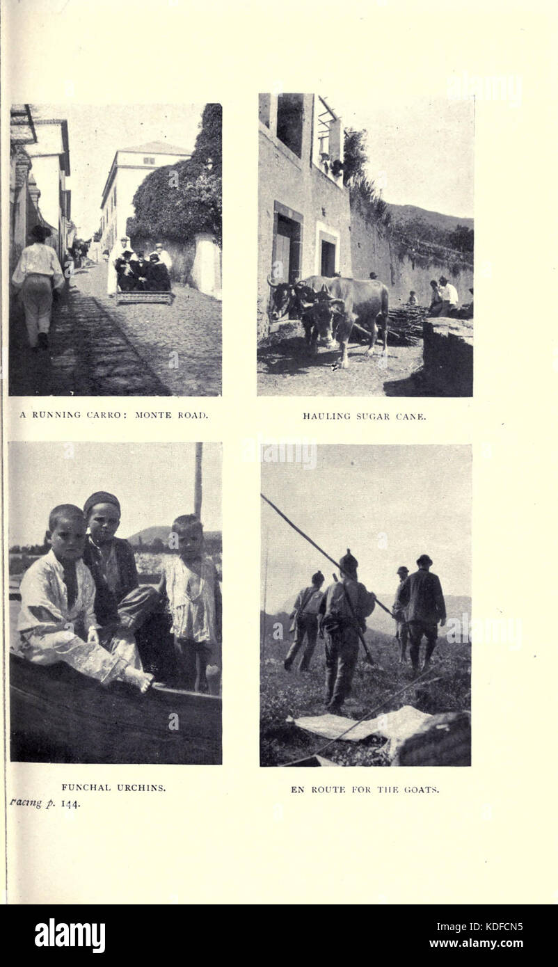 This image shows a comparison of Madeira, depicting both its historical ...