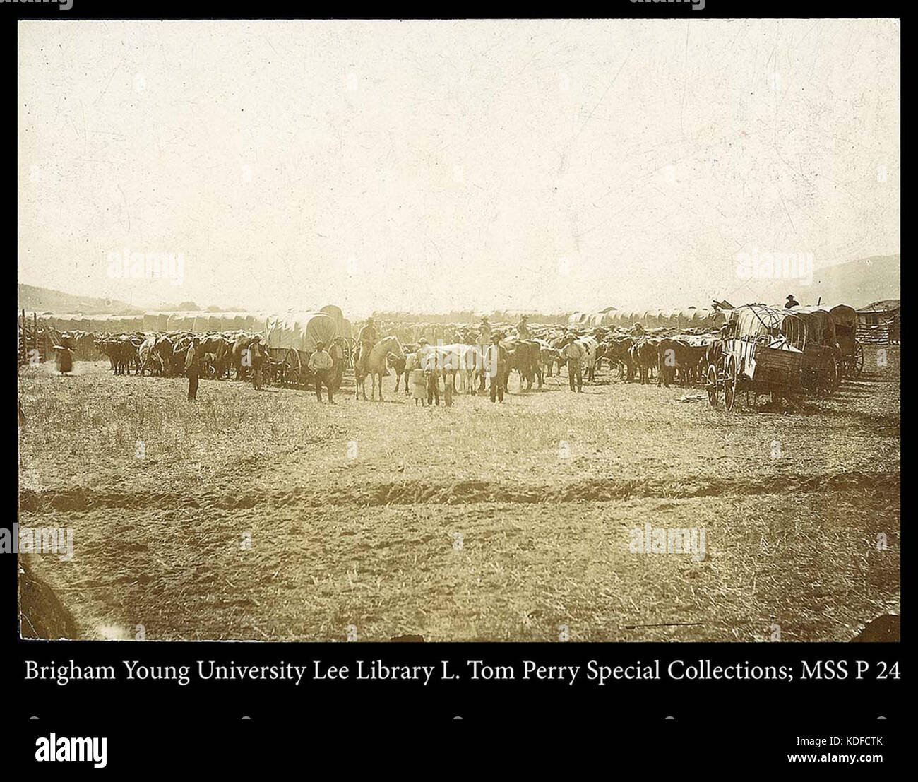 Western expansion wagons hi-res stock photography and images - Alamy