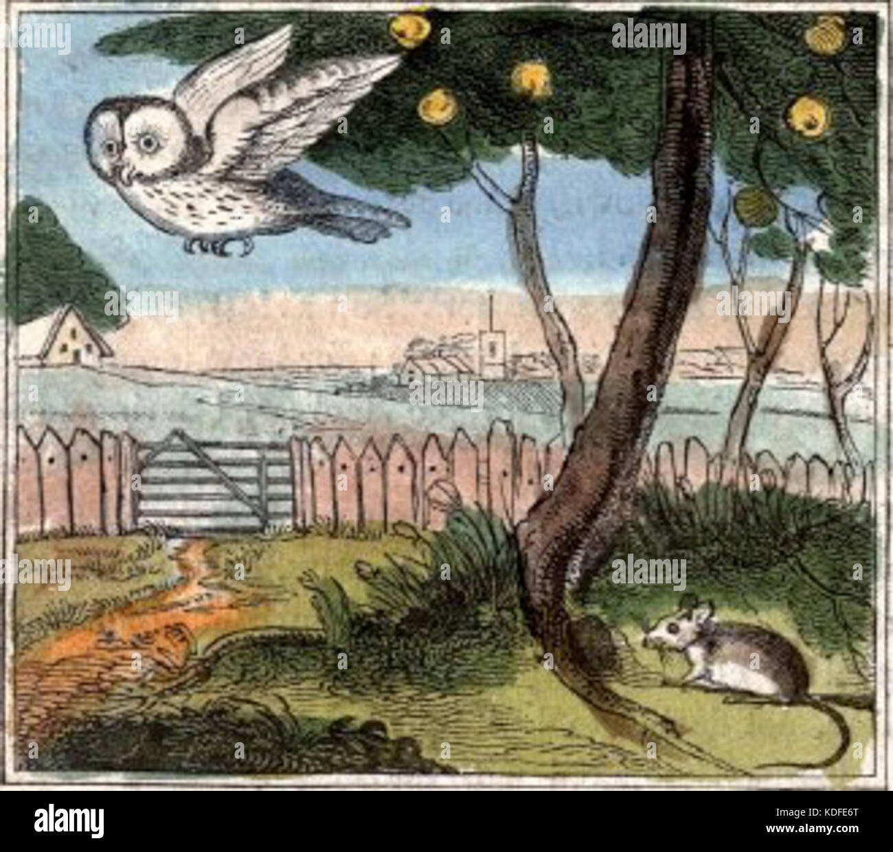 Owl Clip Art Scene Stock Photo - Alamy