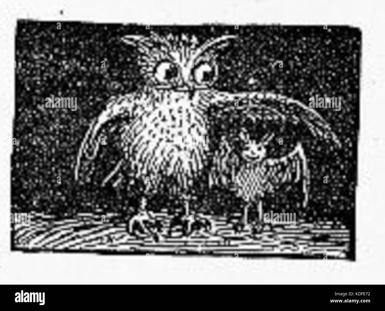 Wildlife nature pictures Black and White Stock Photos & Images - Alamy