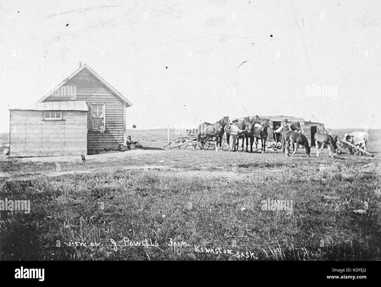 This is an image of Powell Farm located in Kenaston, Saskatchewan. The ...