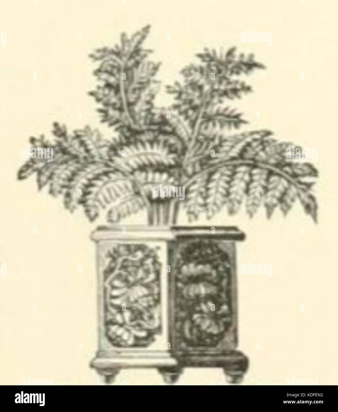 Potted Tree Drawing Stock Photo - Alamy