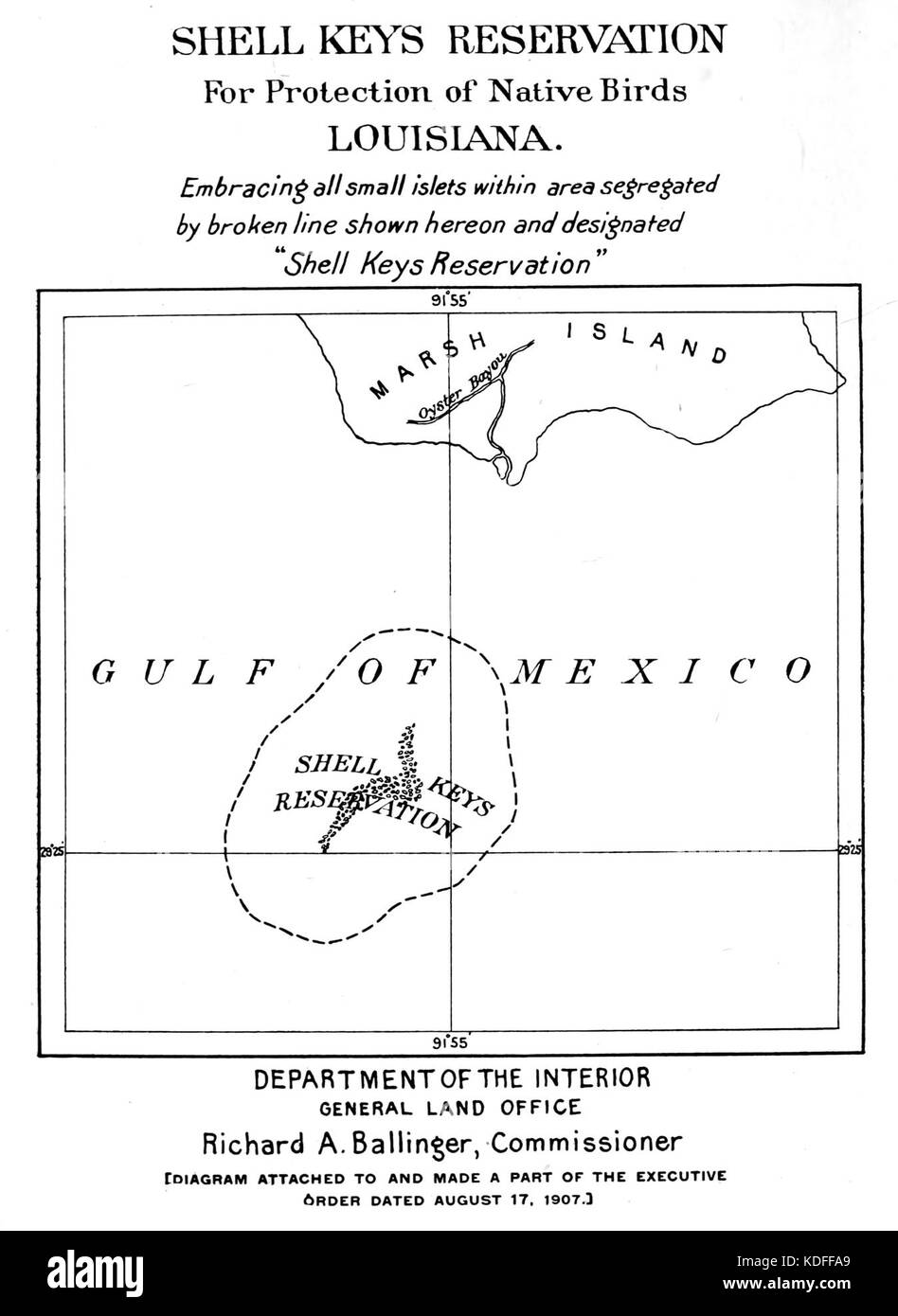 Shell illustration Black and White Stock Photos & Images - Alamy