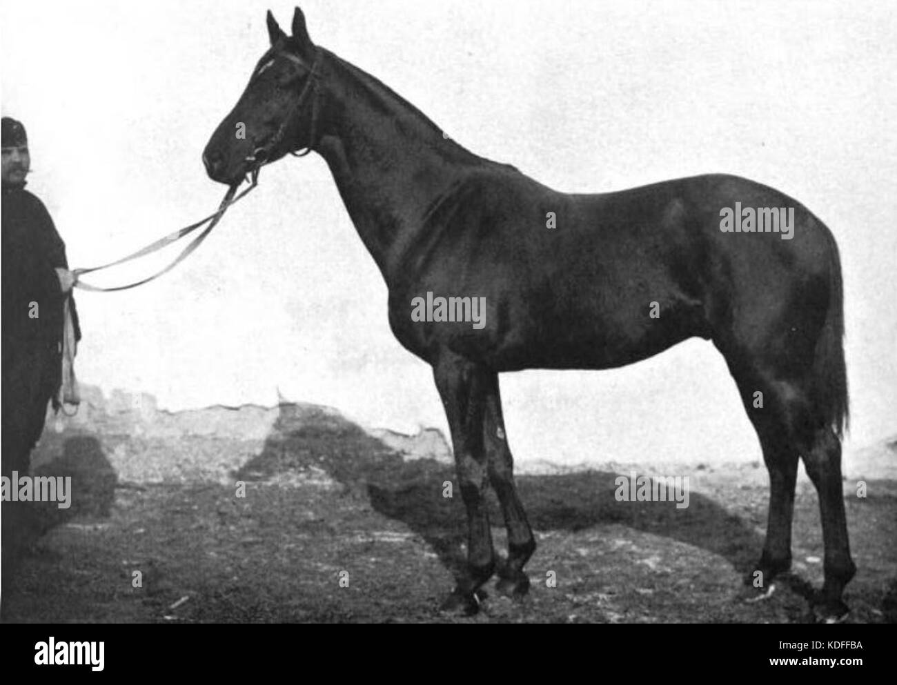 Slieve Gallion High Resolution Stock Photography and Images - Alamy