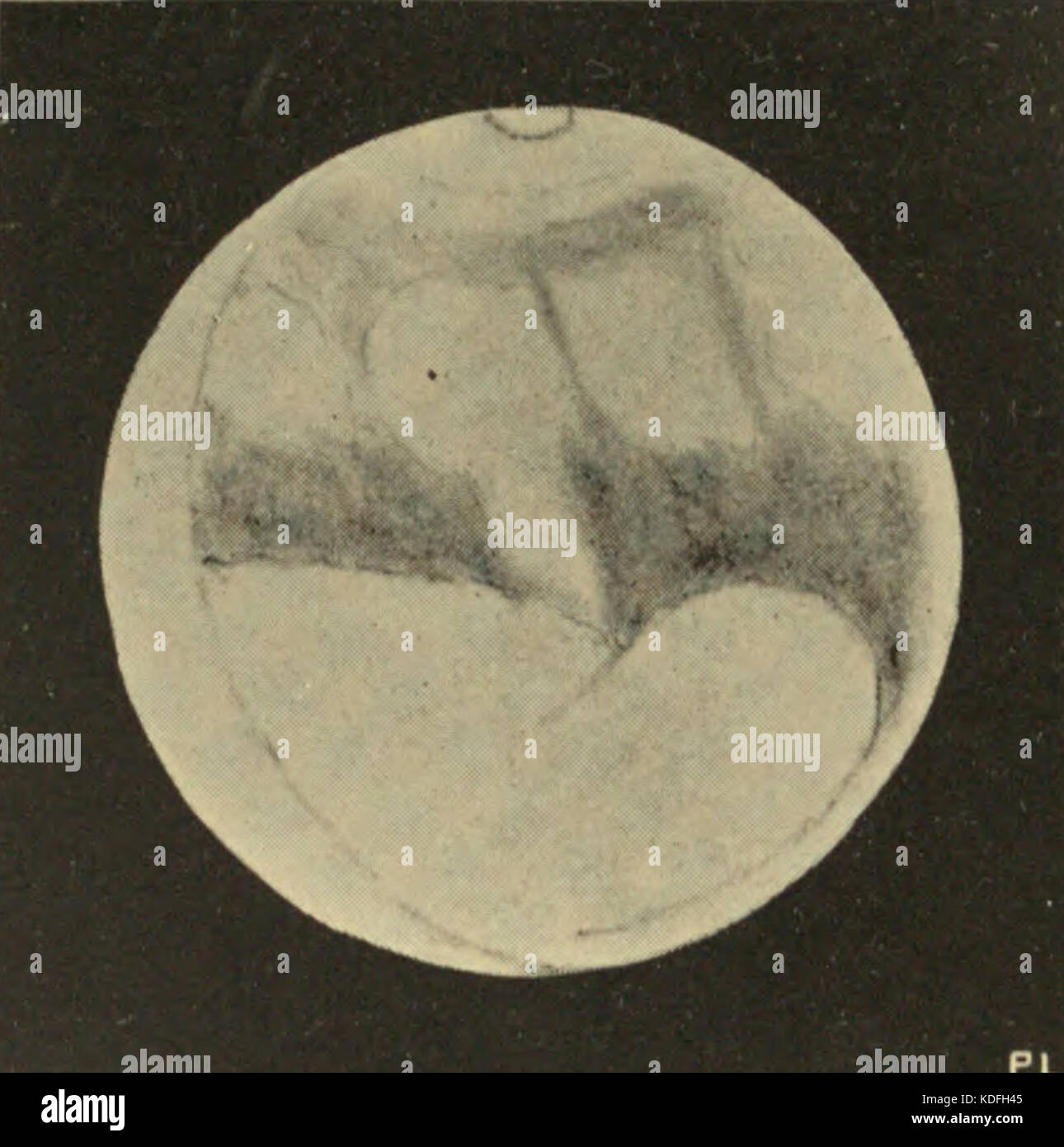 Lowell Mars (1894) Plate 16 Figure 2 Stock Photo - Alamy