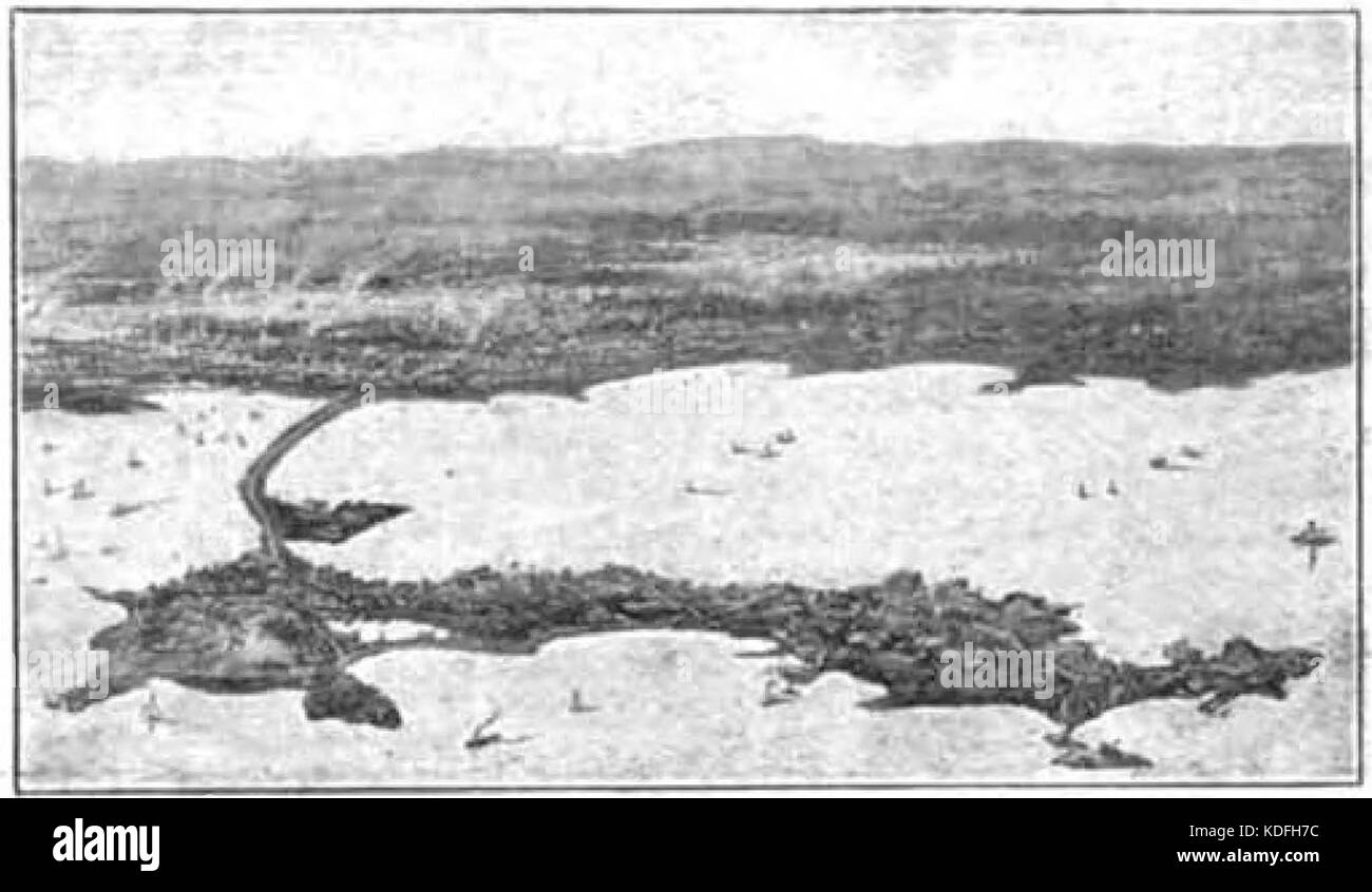 Map of rivers Black and White Stock Photos & Images - Alamy
