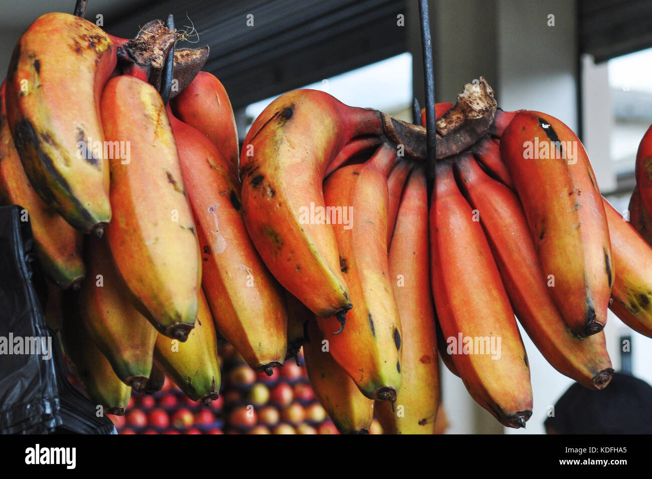 OTAVALO, ECUADOR - MARCH 18, 2016: Tropical Bananas at Otavalo market ...