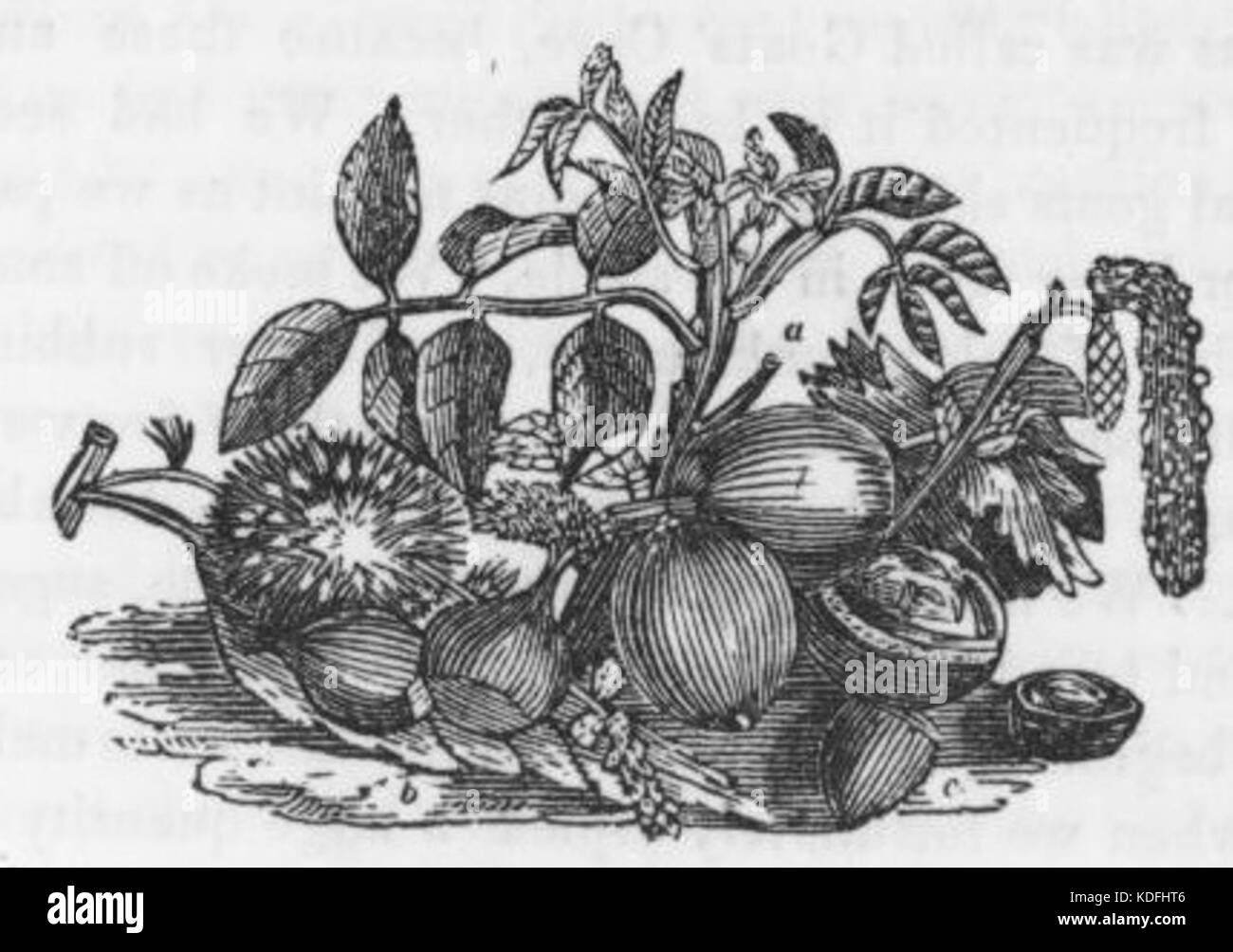 Mixed nuts Black and White Stock Photos & Images - Alamy