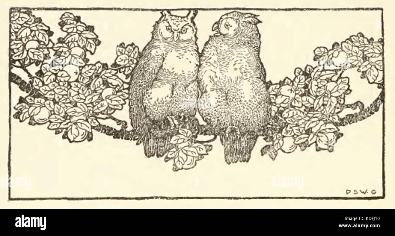 Mr. and Mrs. Owl Stock Photo - Alamy