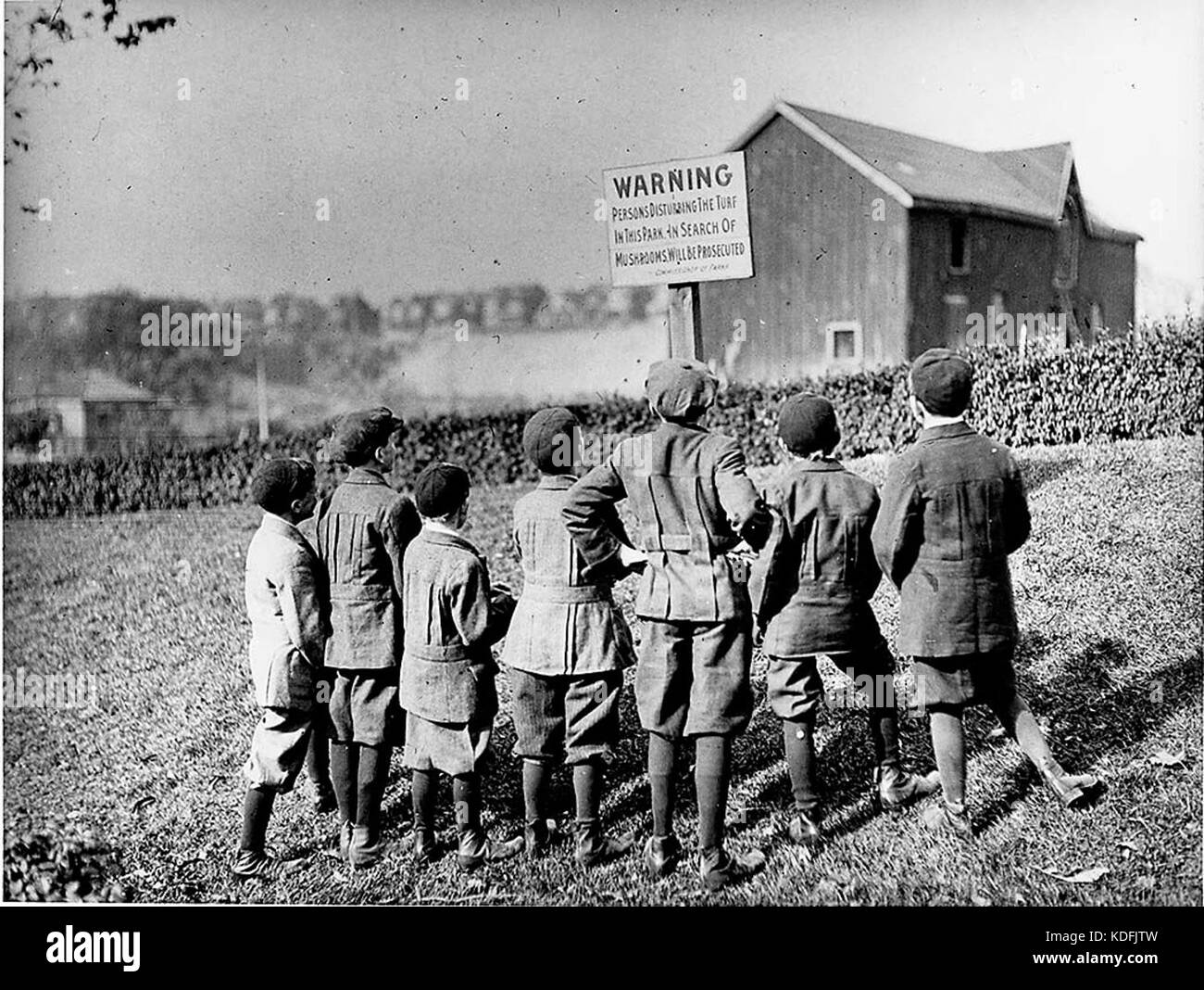 Places toronto christie pits 1914 Stock Photo - Alamy