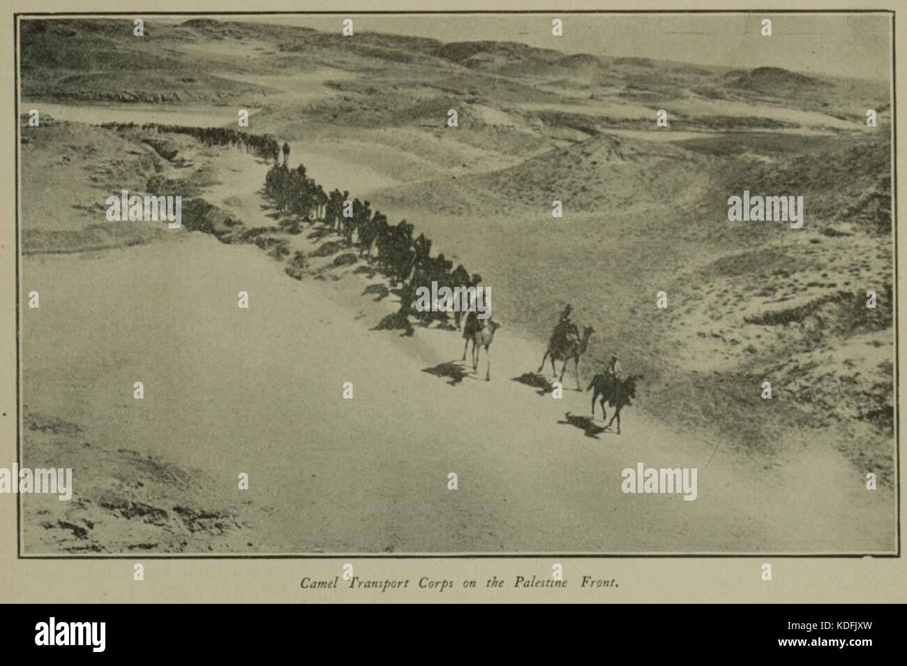 Palestine Camel Transport refers to the use of camels for ...