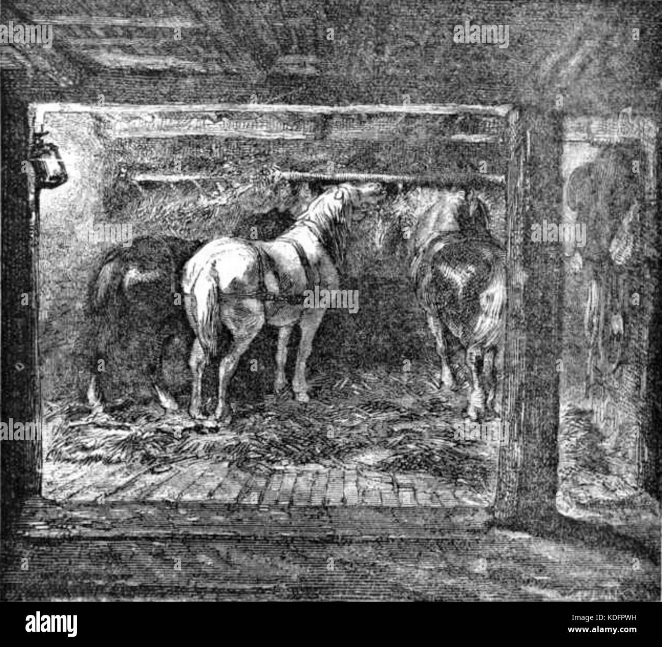 Pit pony hi-res stock photography and images - Alamy