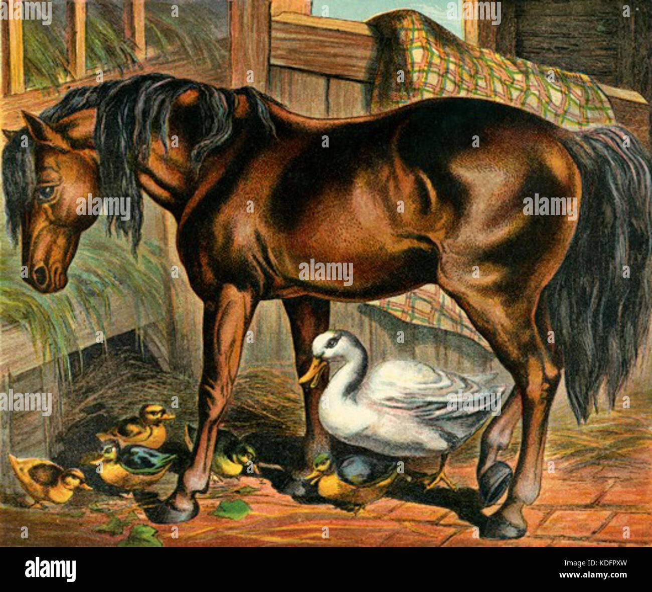 Pony and Duck Family Stock Photo - Alamy