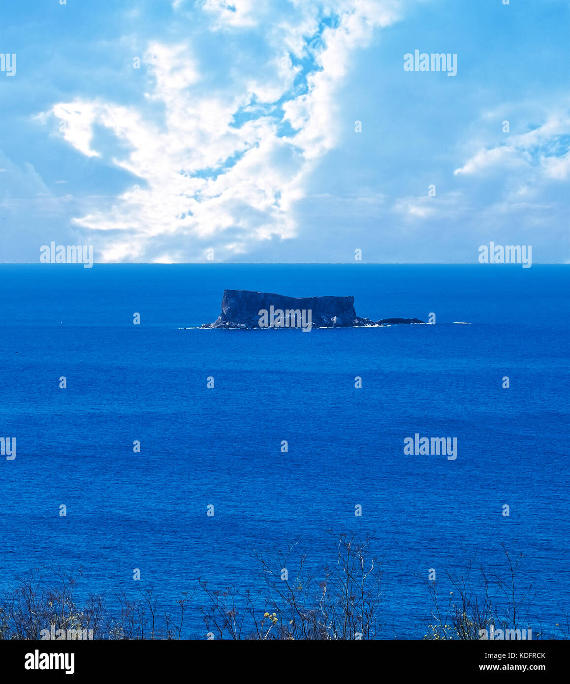 Filfla hi-res stock photography and images - Alamy