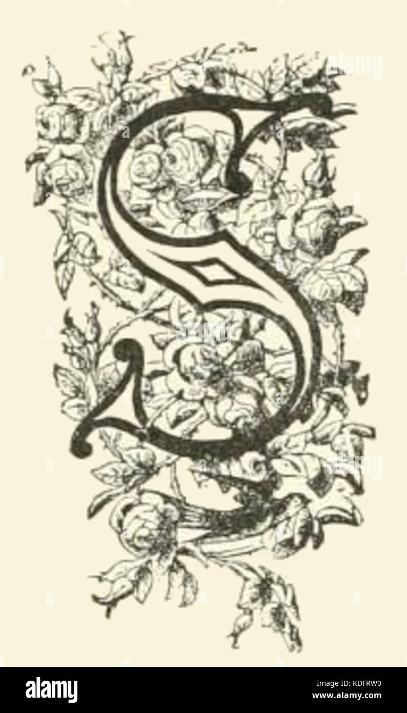 Sensational Letter S Stock Photo - Alamy