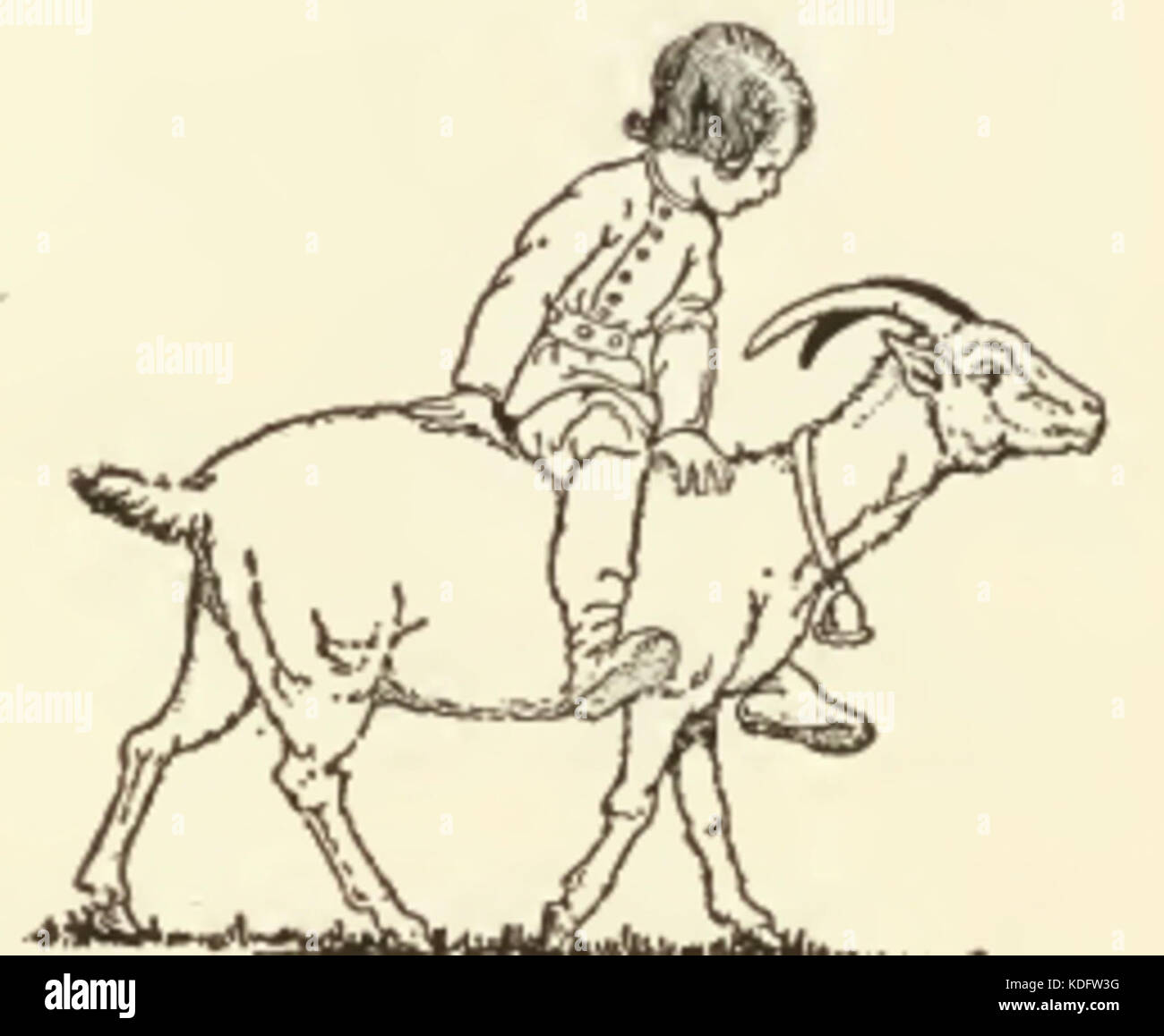 Little Boy and Goat Stock Photo - Alamy