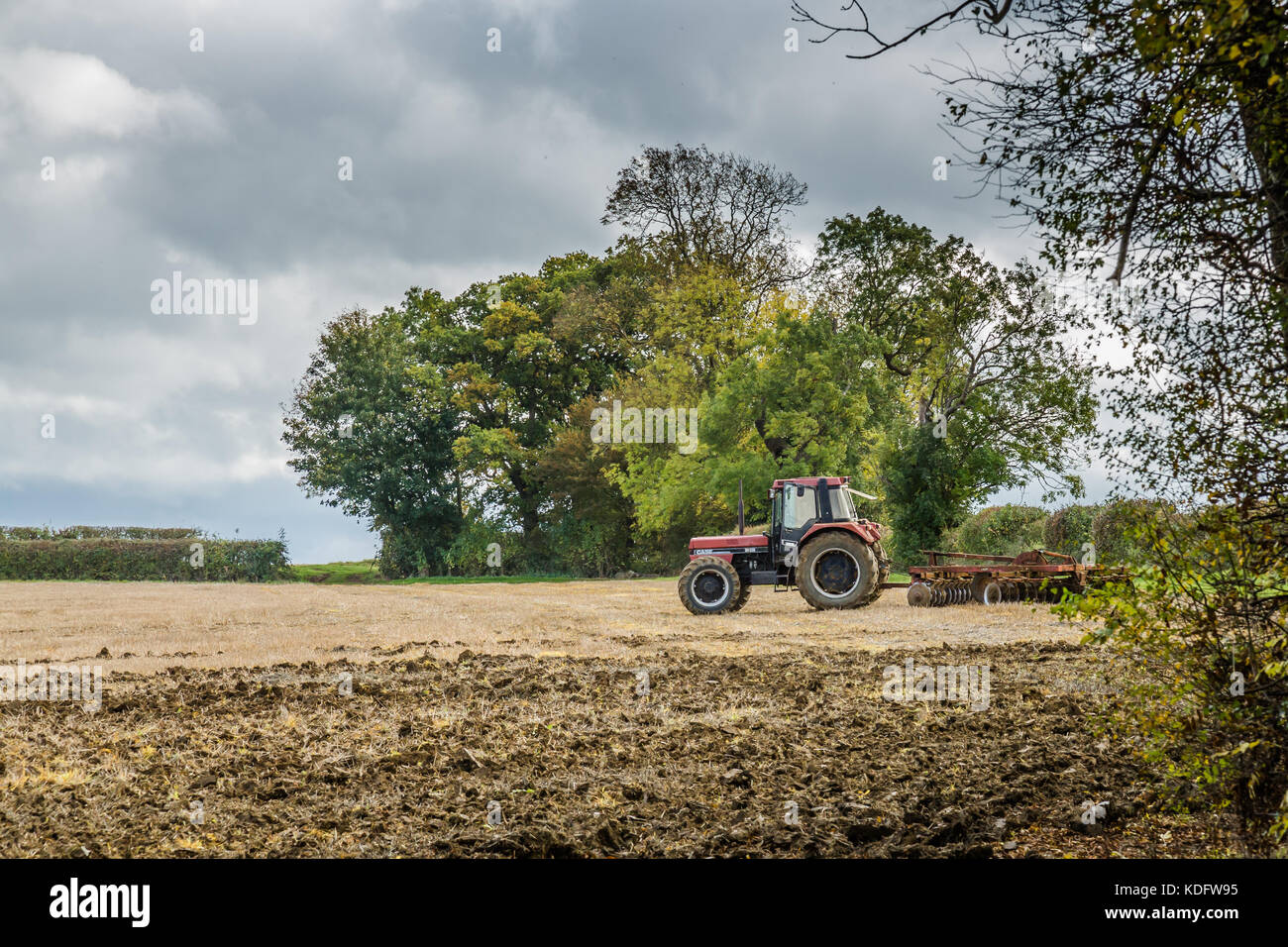 A red tractor in a field showing autumnal colours and farmland Stock ...