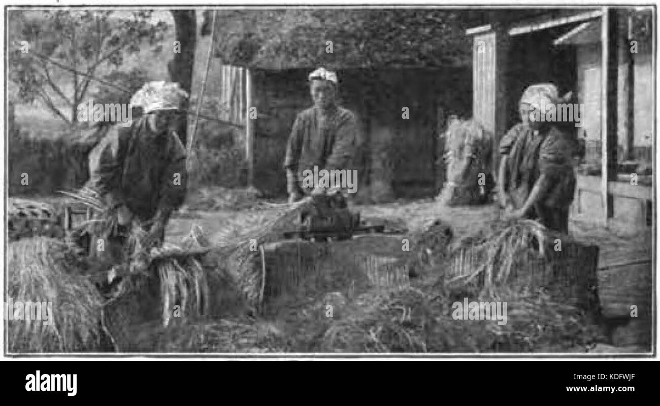 Maury Geography 119D rice Stock Photo - Alamy