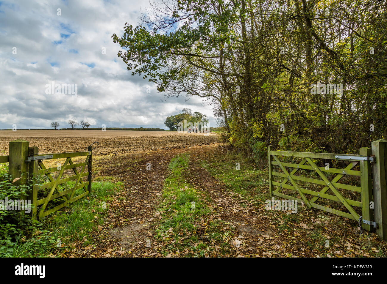 A red tractor in a field showing autumnal colours and farmland Stock ...