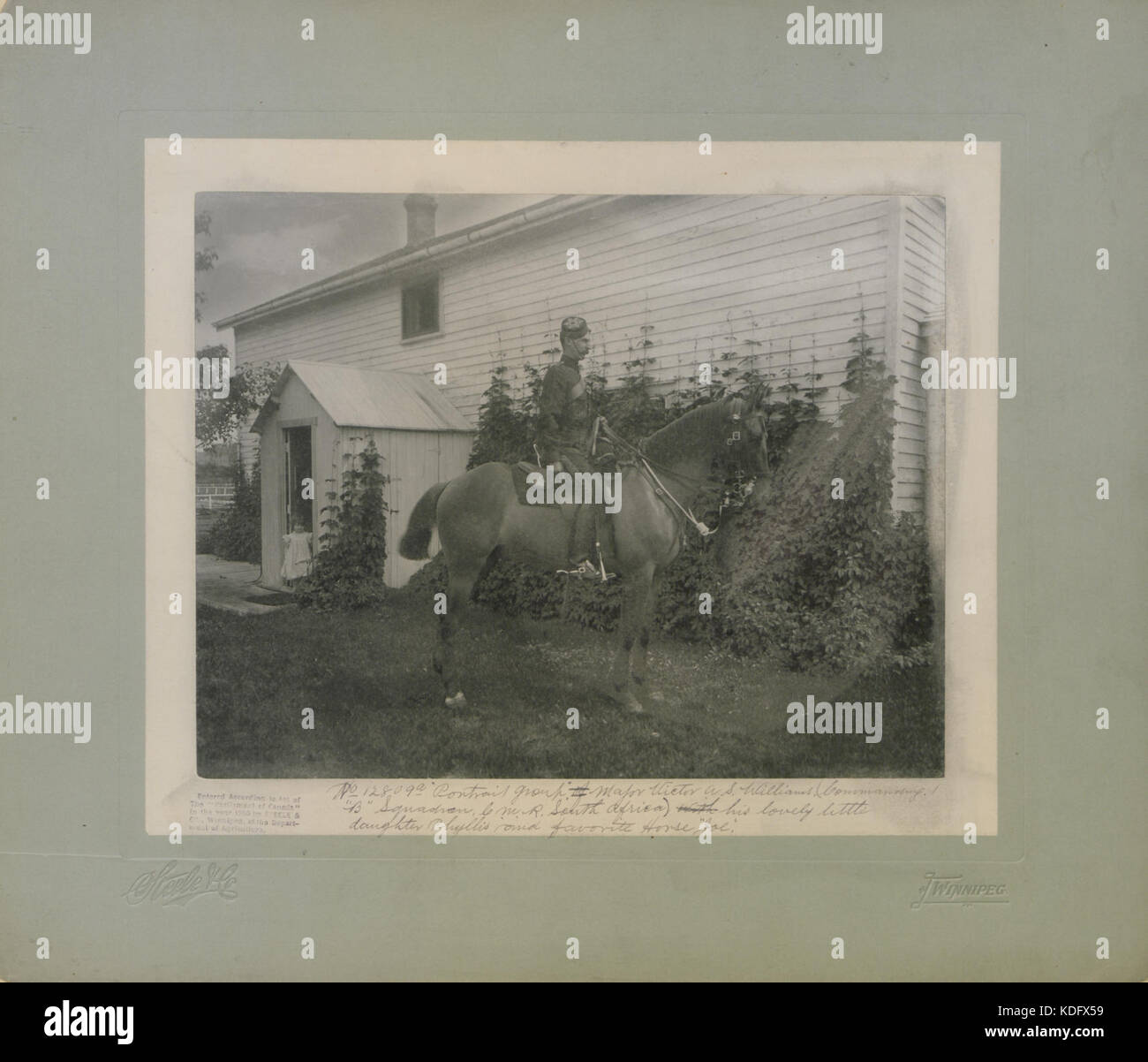 Phyllis major hi-res stock photography and images - Alamy