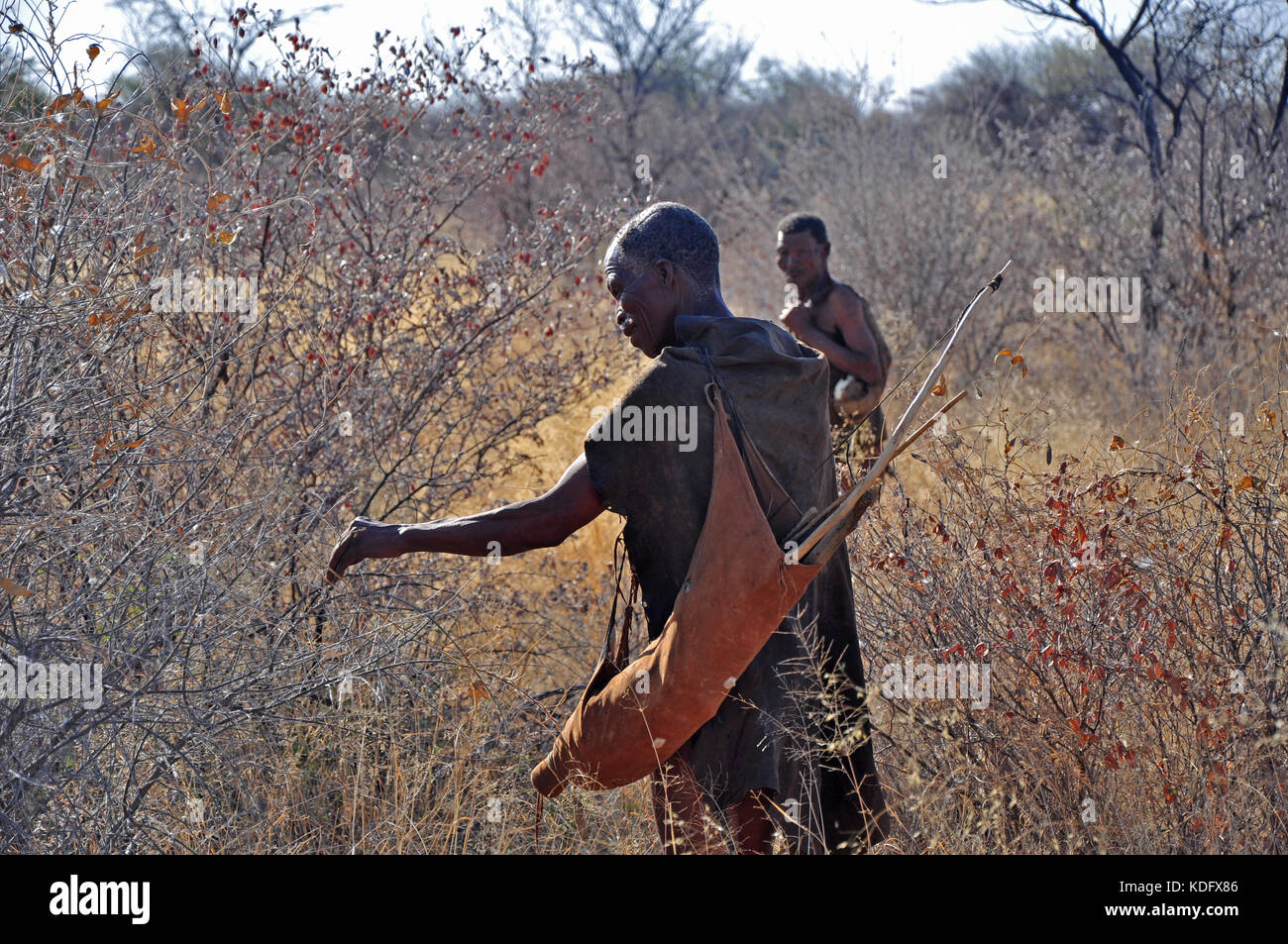 Bushmen in Namibia Stock Photo - Alamy