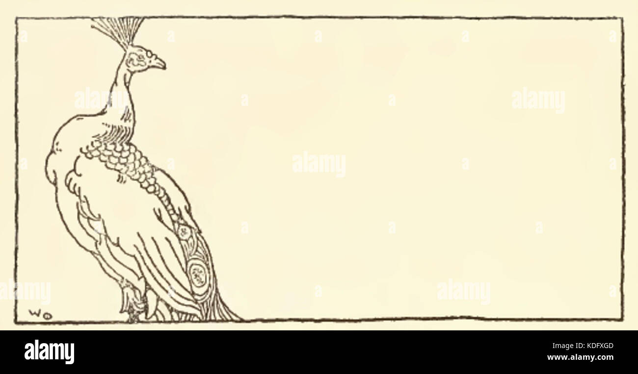 Peacock drawing hi-res stock photography and images - Alamy