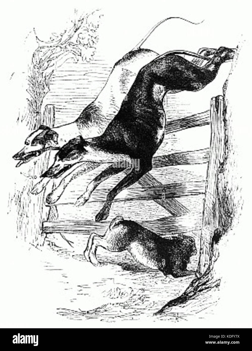 Escape as art Cut Out Stock Images & Pictures - Alamy