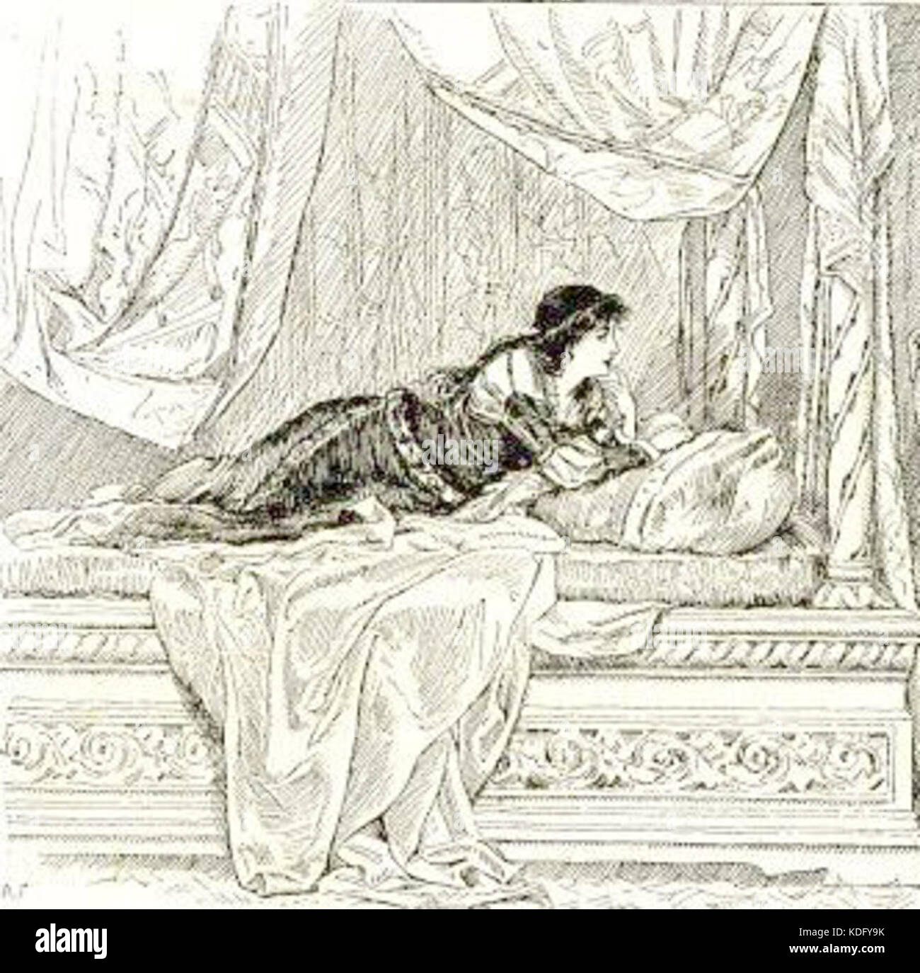 Regal lady hi-res stock photography and images - Alamy