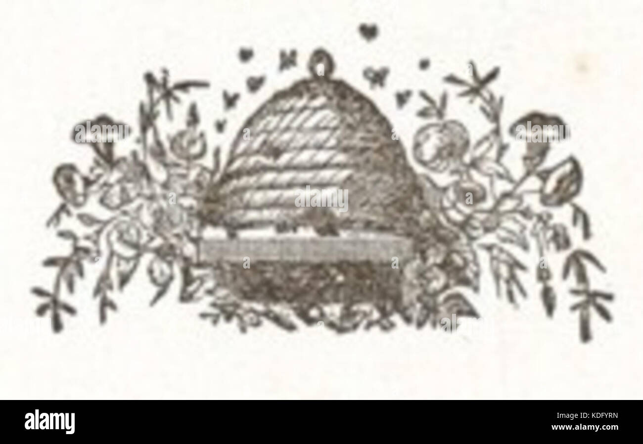 Bee hive structure Cut Out Stock Images & Pictures - Alamy