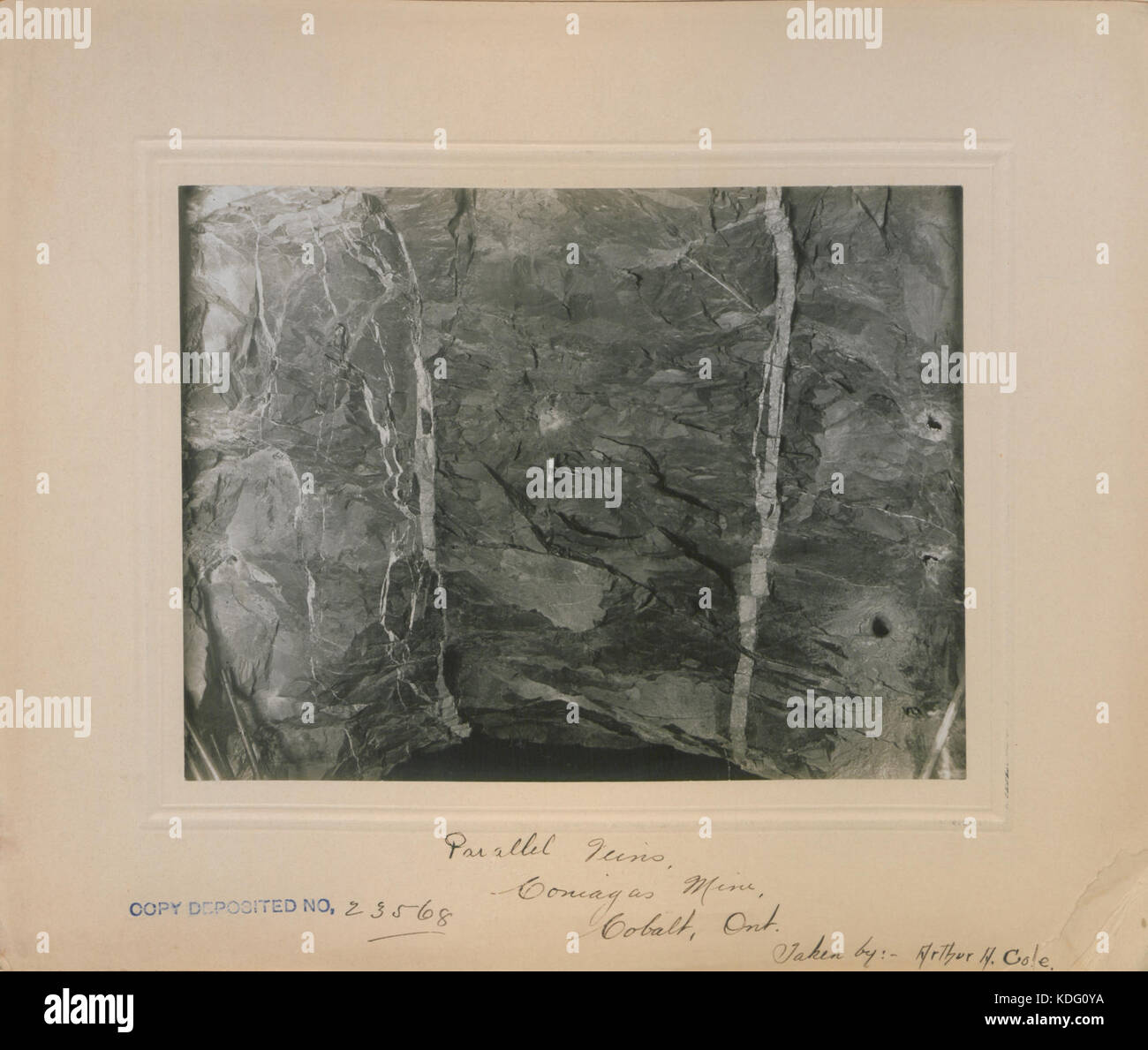 Parallel veins hi-res stock photography and images - Alamy