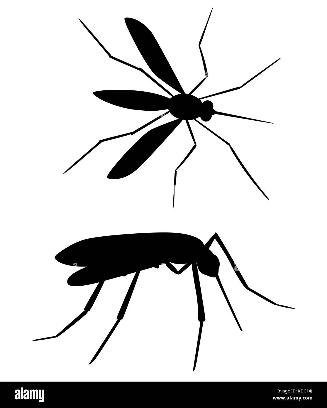 Flying Mosquito Silhouette