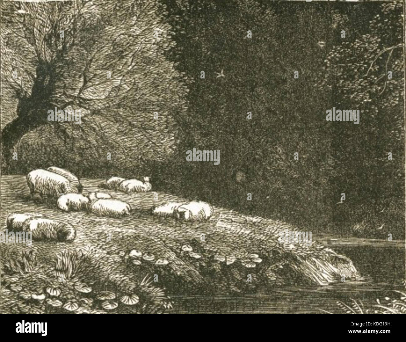 This drawing depicts a peaceful scene of sheep sleeping, showcasing ...