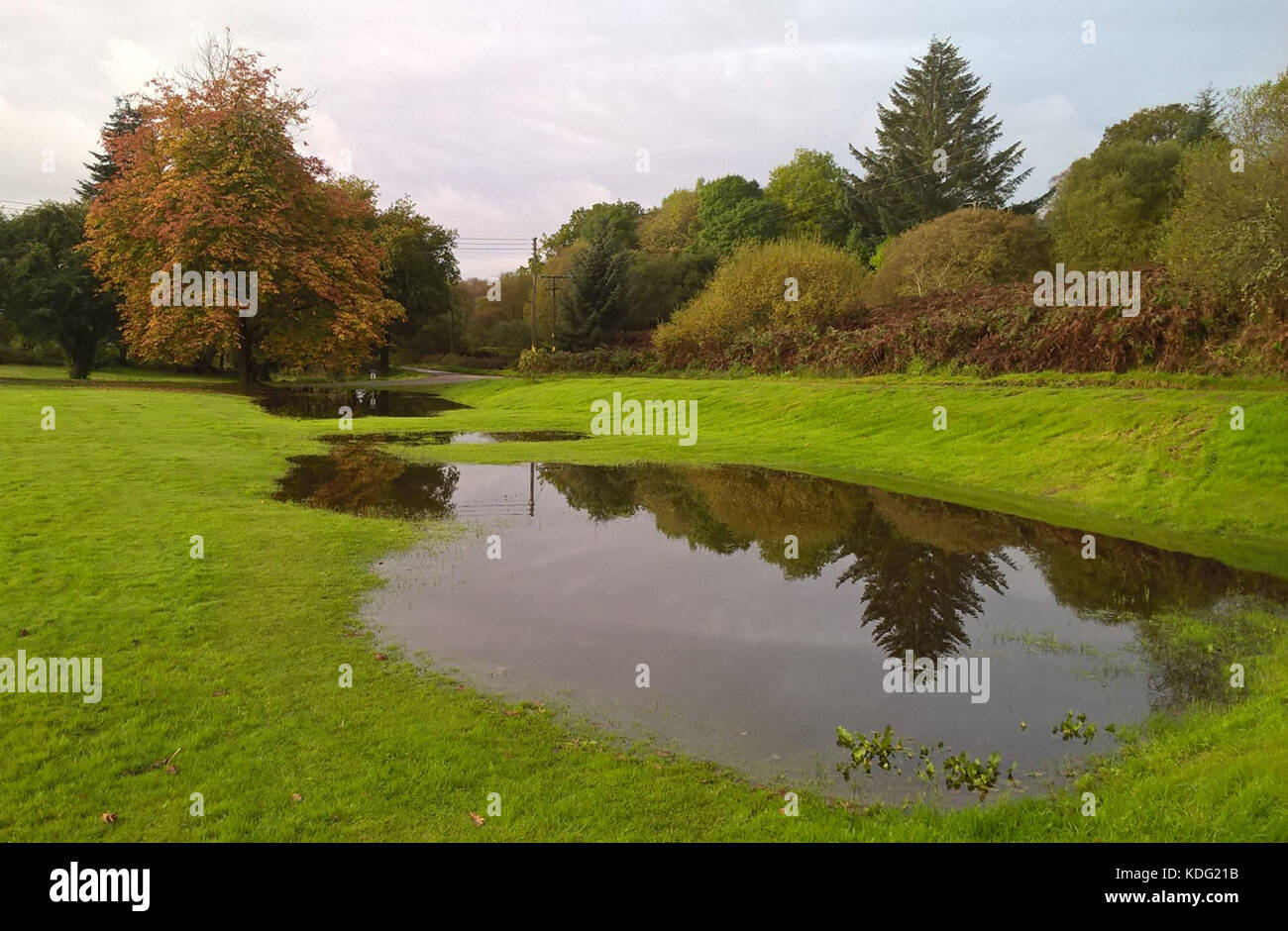 Dalavich, Loch Awe Stock Photo - Alamy