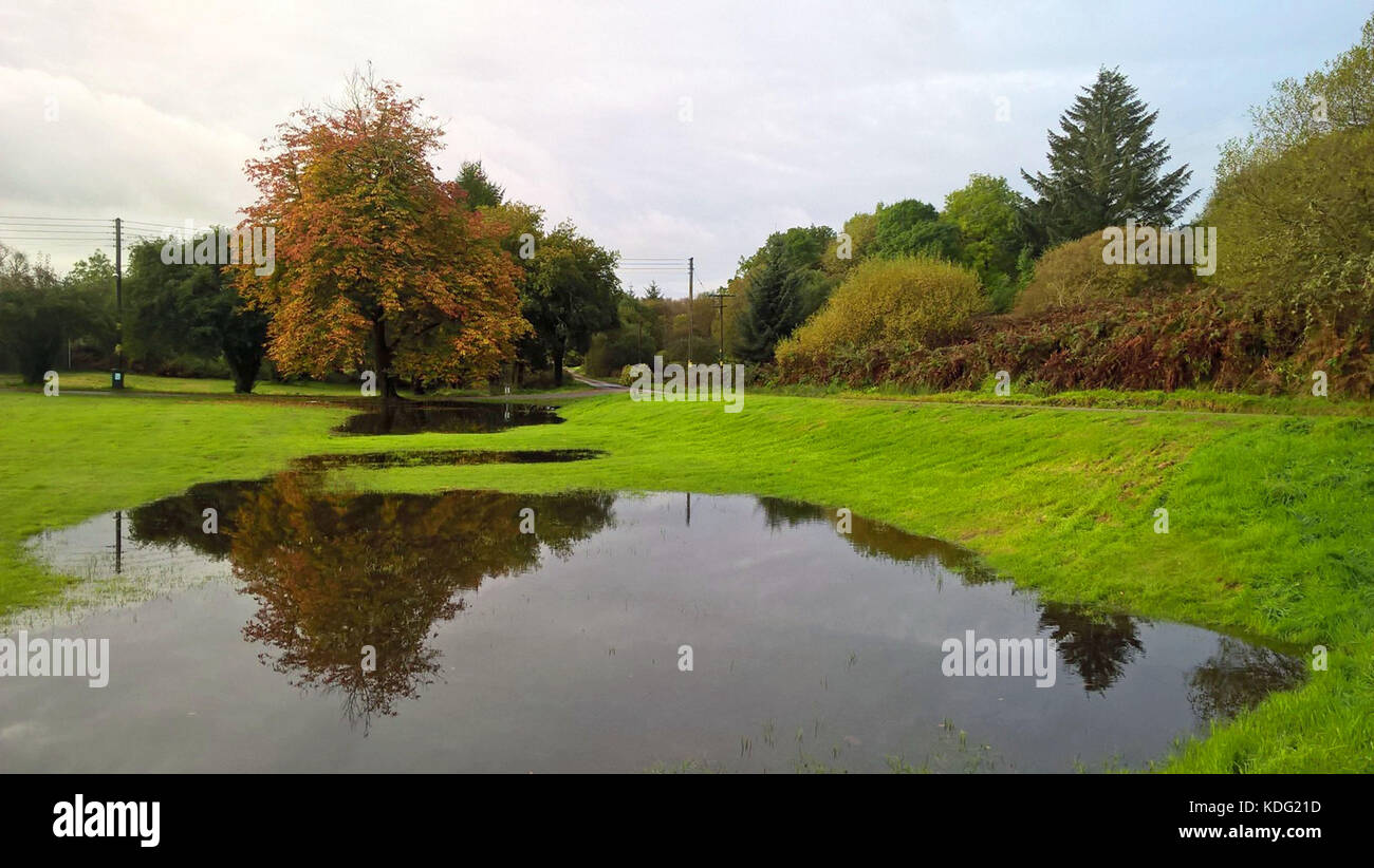 Dalavich, Loch Awe Stock Photo - Alamy