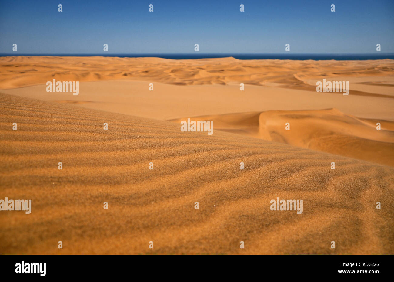 Namib desert meets ocean hi-res stock photography and images - Alamy