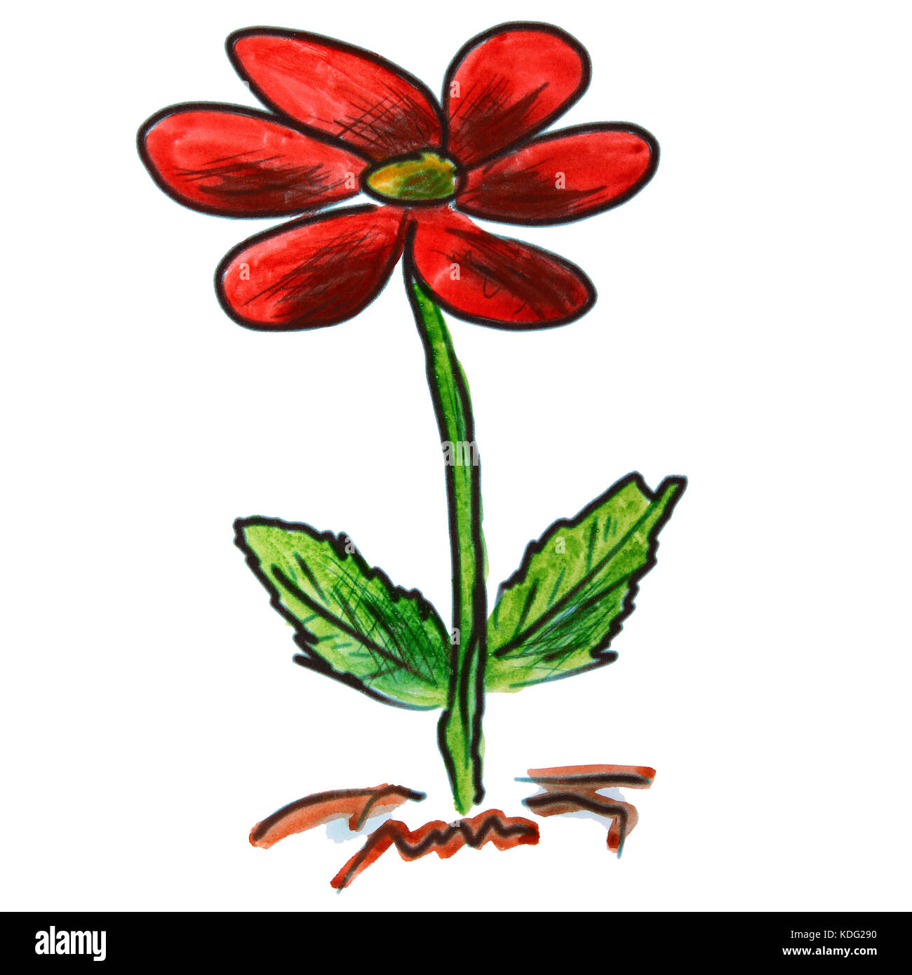 watercolor flower red cartoon figure, isolated on white background ...