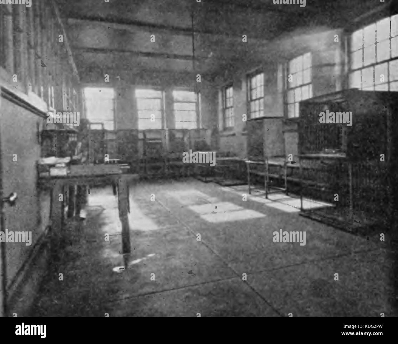 Zoological laboratory hi-res stock photography and images - Alamy