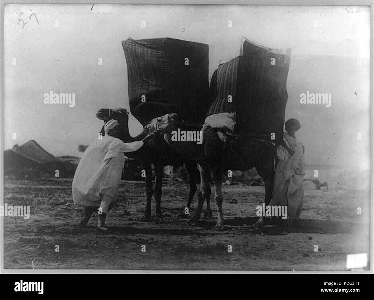 North Africa. Merchants of the Sahara Desert LCCN93515753 Stock Photo ...