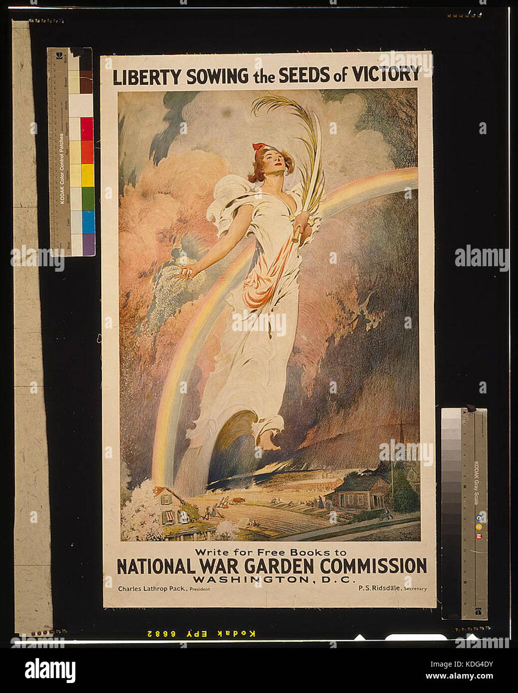 The seeds of victory hi-res stock photography and images - Alamy