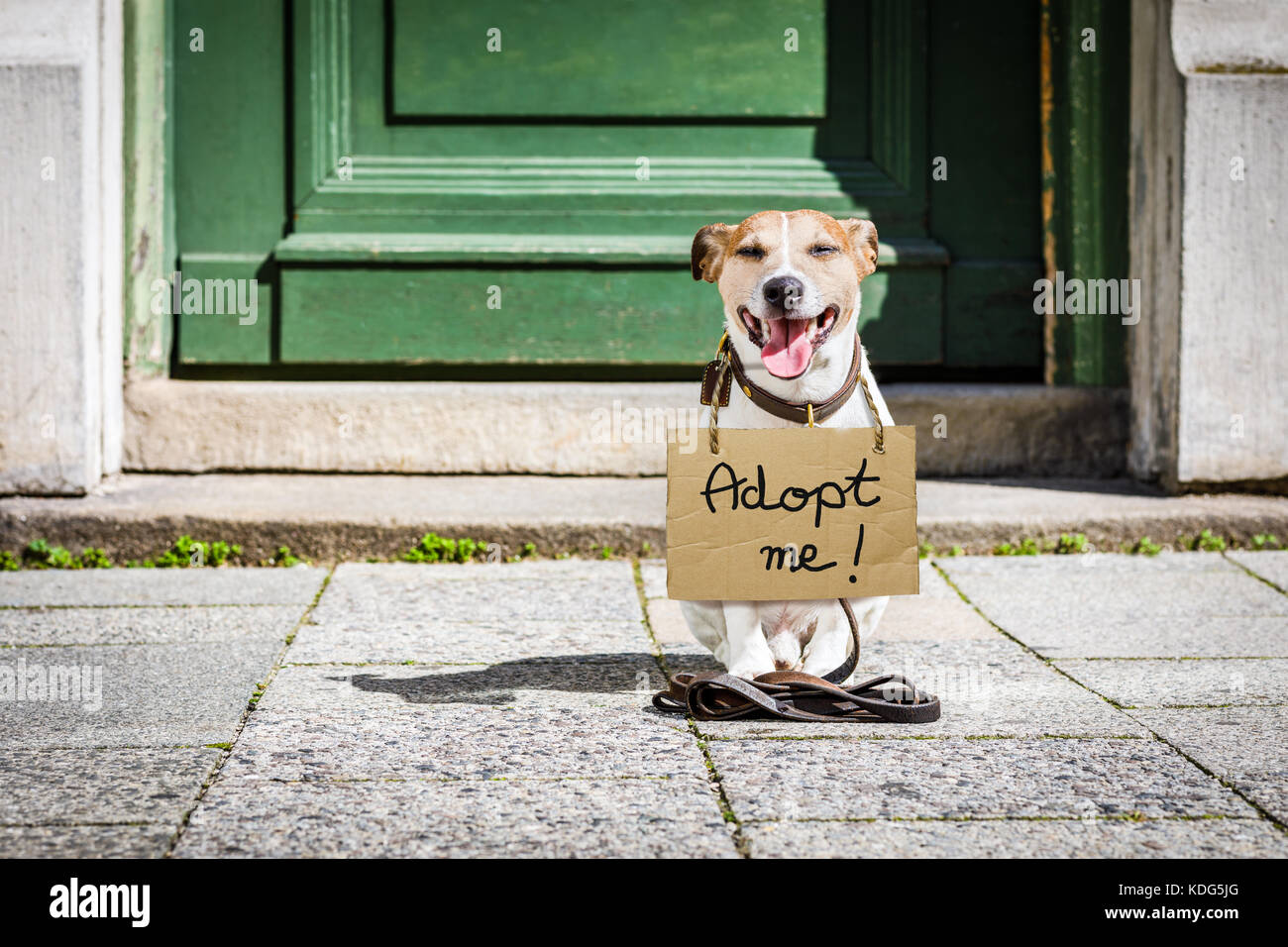 Neck placard hi-res stock photography and images - Alamy