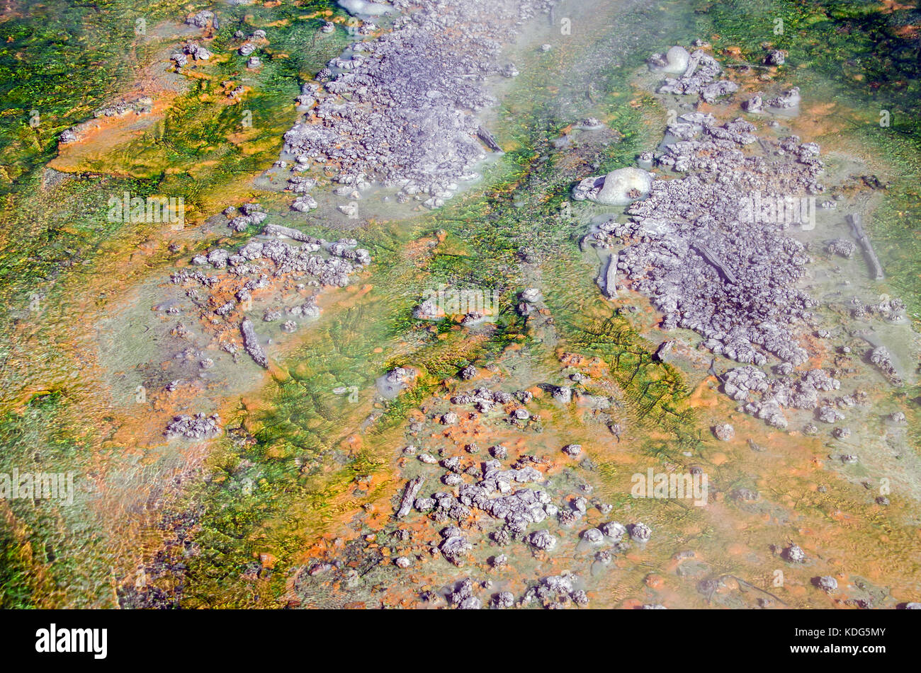 Colorful, abstract, natural pattern in Yellowstone National Park ...