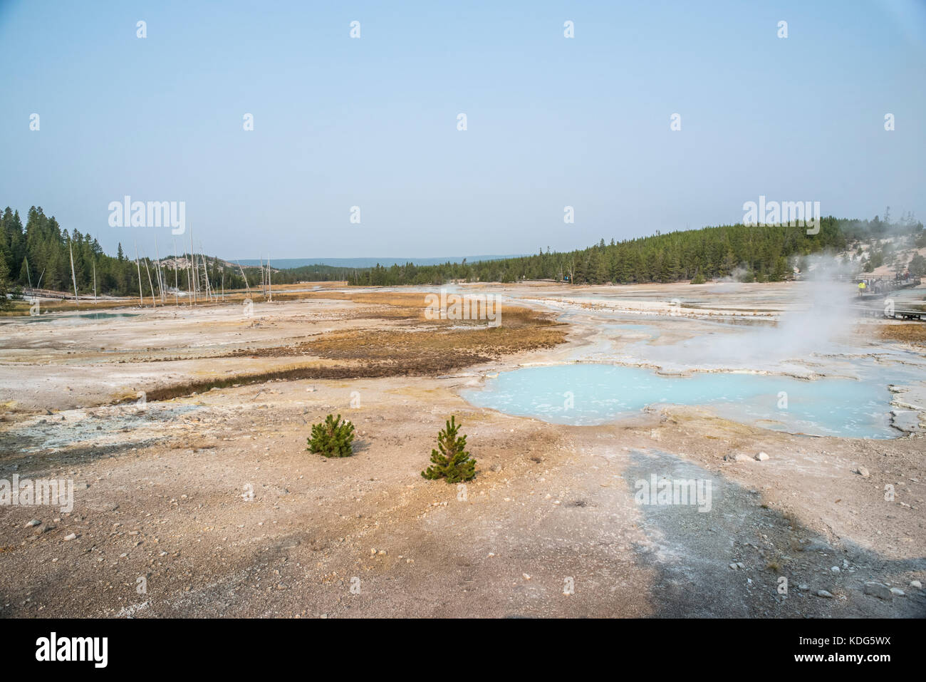 Geo-thermal landscape scenery at Norris Geyser Basin in West ...
