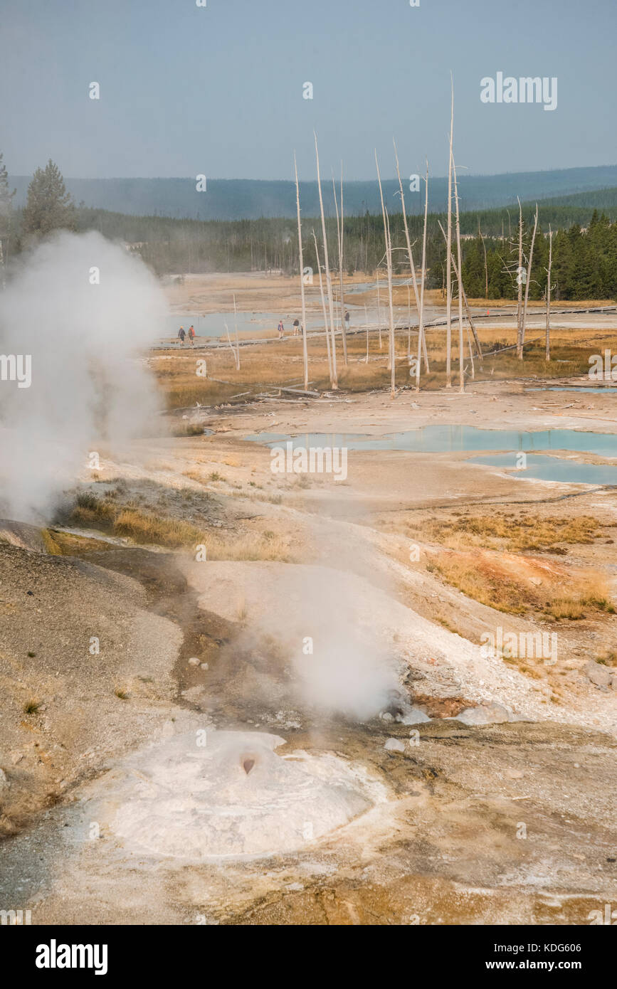 Geo-thermal landscape scenery at Norris Geyser Basin in West ...