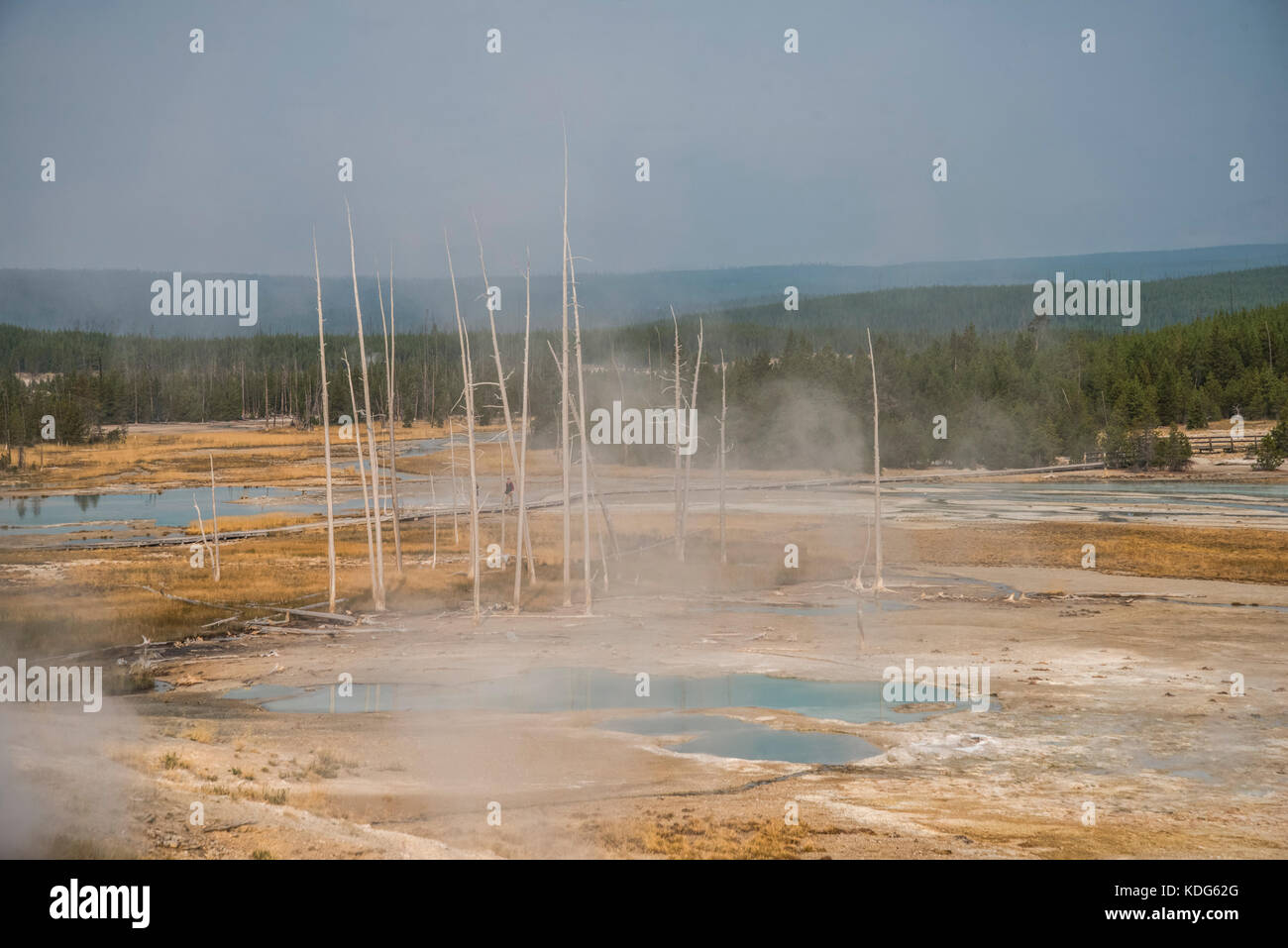 Geo-thermal landscape scenery at Norris Geyser Basin in West ...