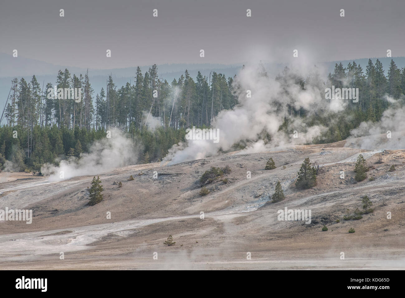 Geo-thermal landscape scenery at Norris Geyser Basin in West ...