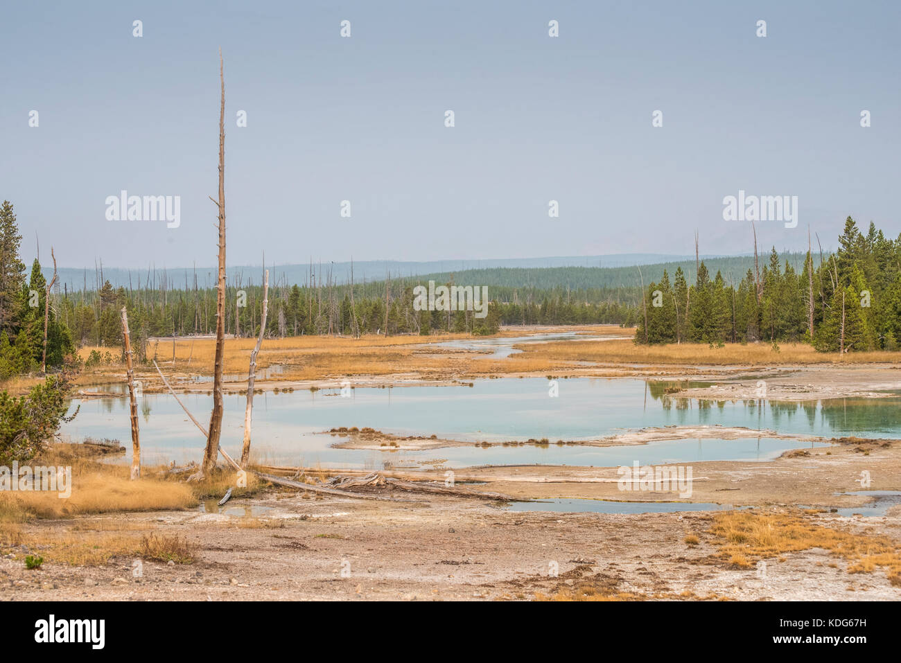 Geo-thermal landscape scenery at Norris Geyser Basin in West ...