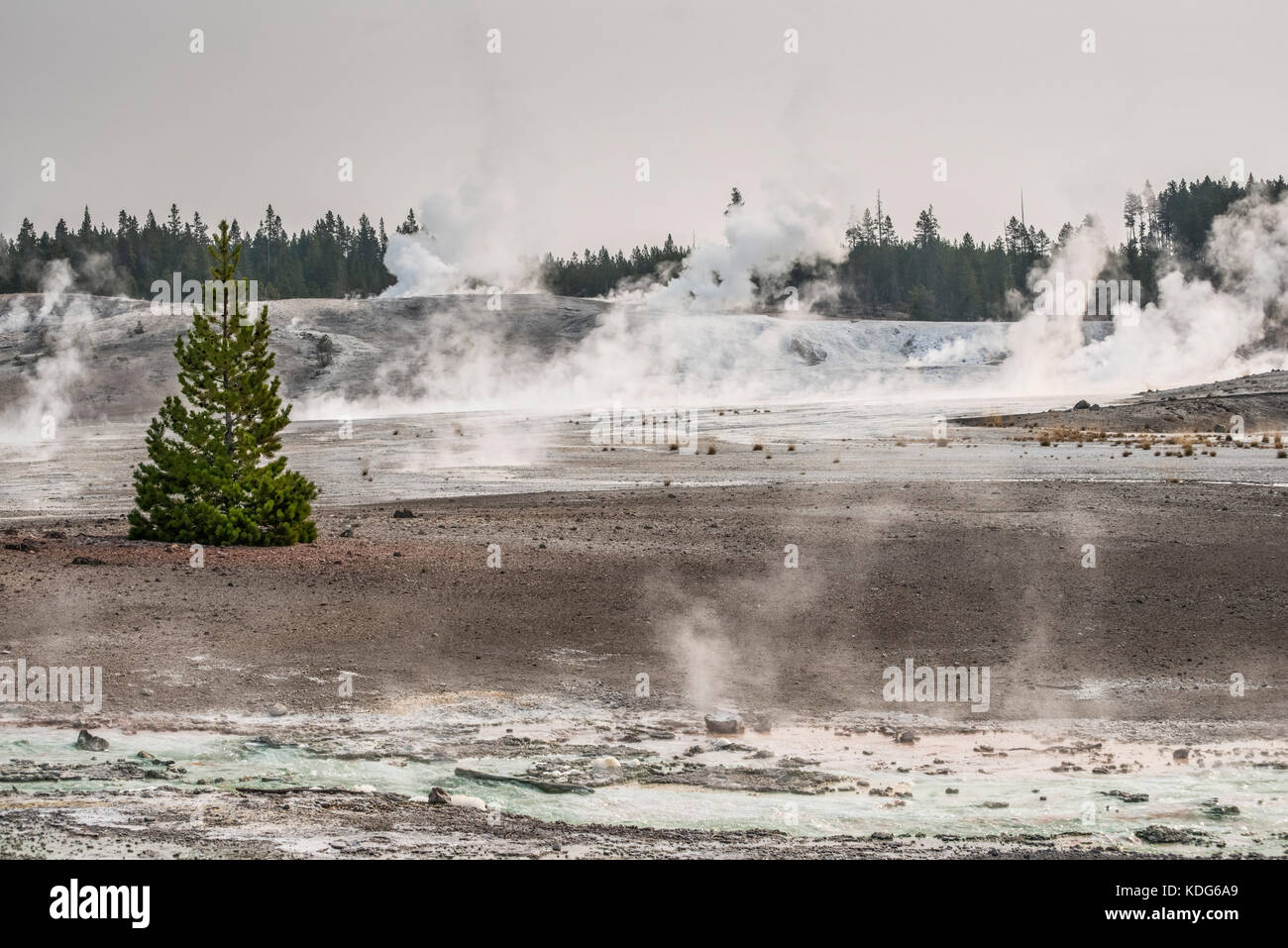 Geo-thermal landscape scenery at Norris Geyser Basin in West ...