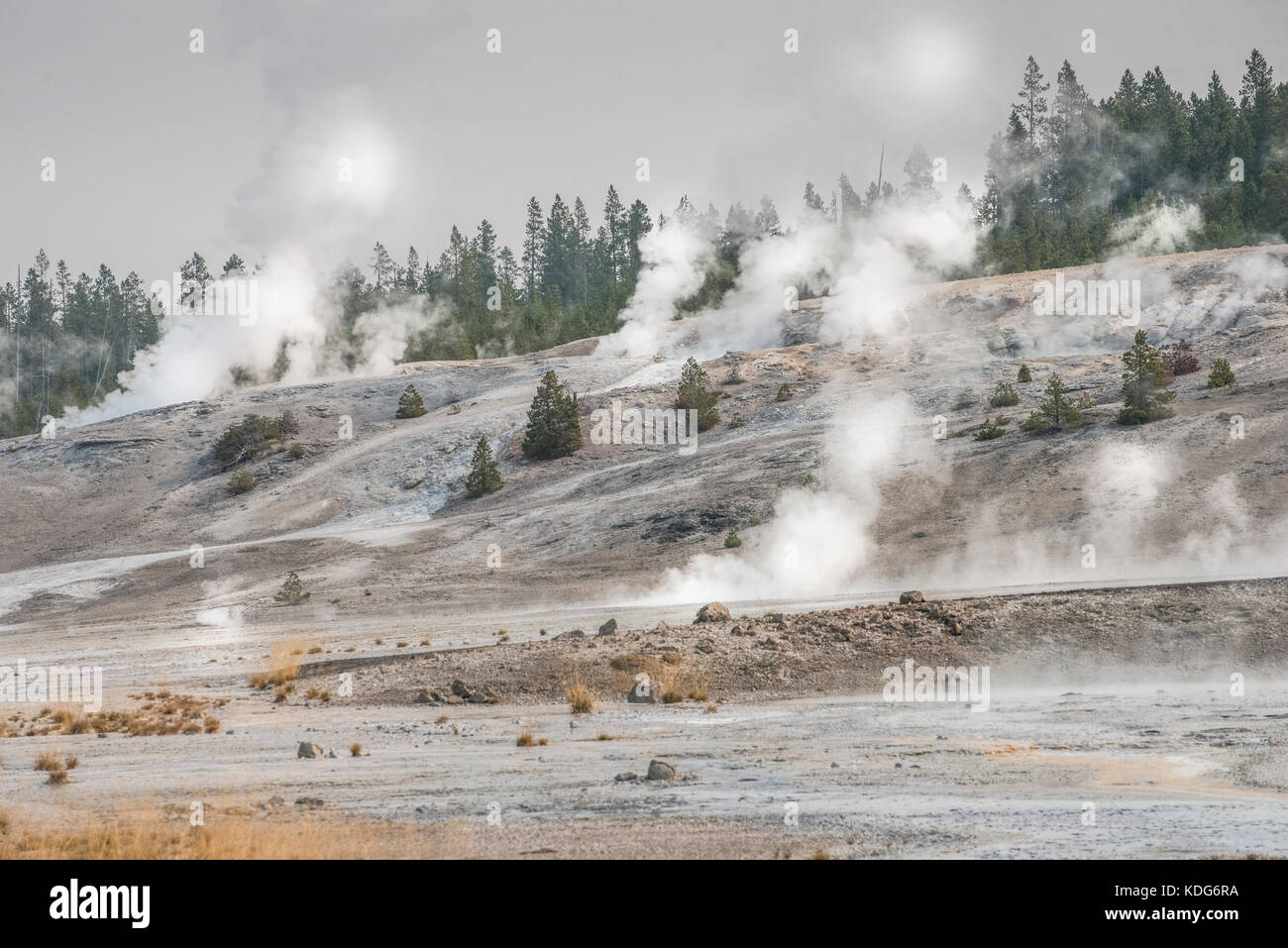 Geo-thermal landscape scenery at Norris Geyser Basin in West ...