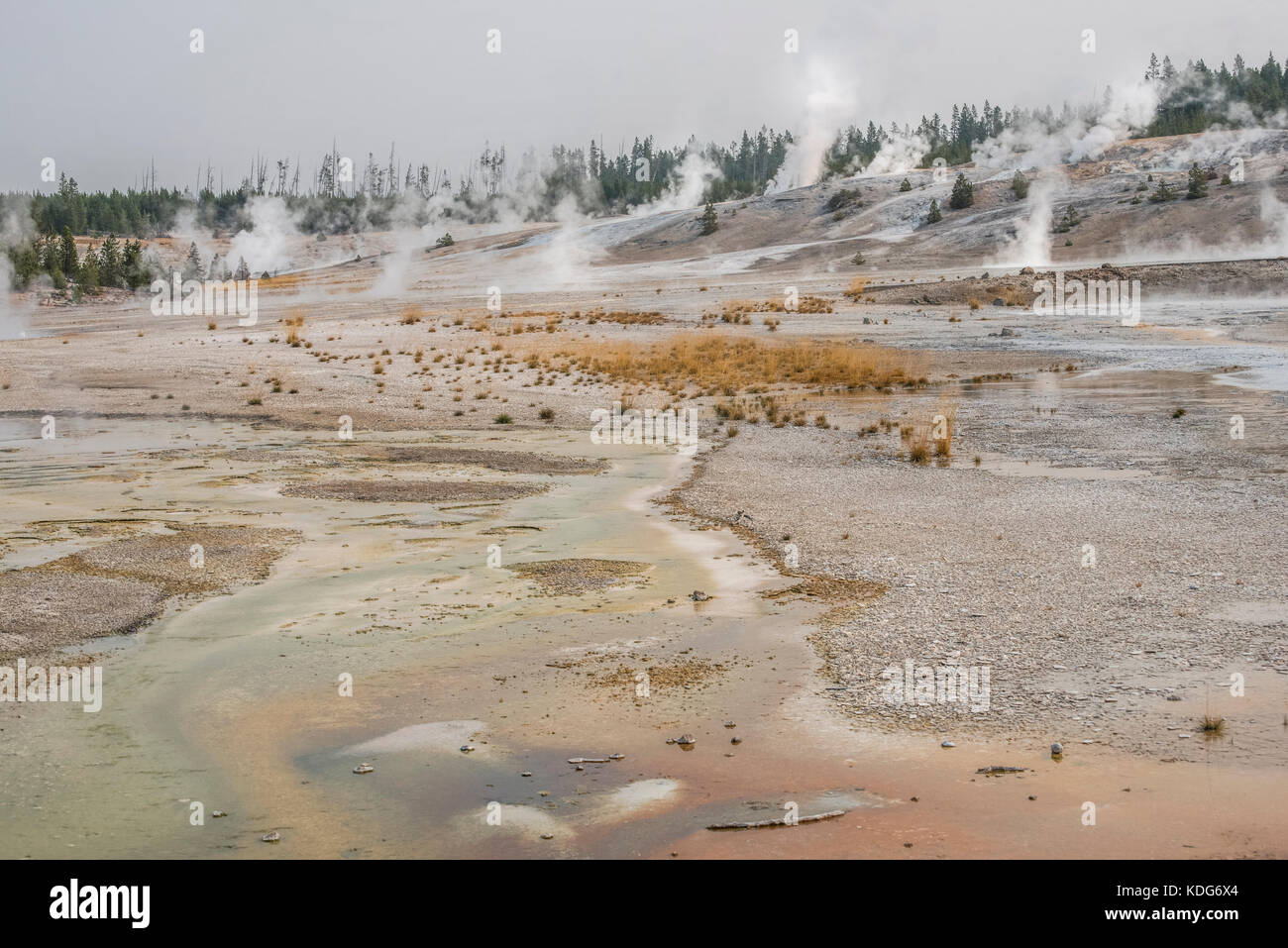Geo-thermal landscape scenery at Norris Geyser Basin in West ...